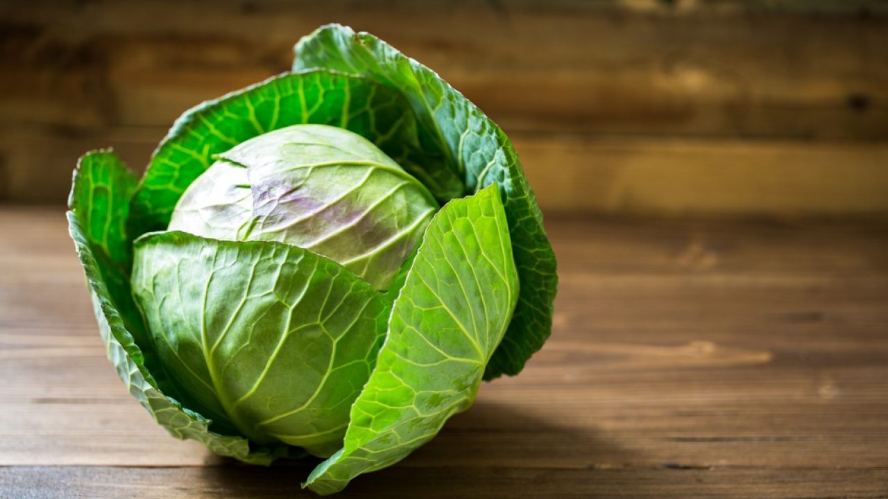 Repolho cura ressaca e ajuda a emagrecer? veja 13 benefícios ...