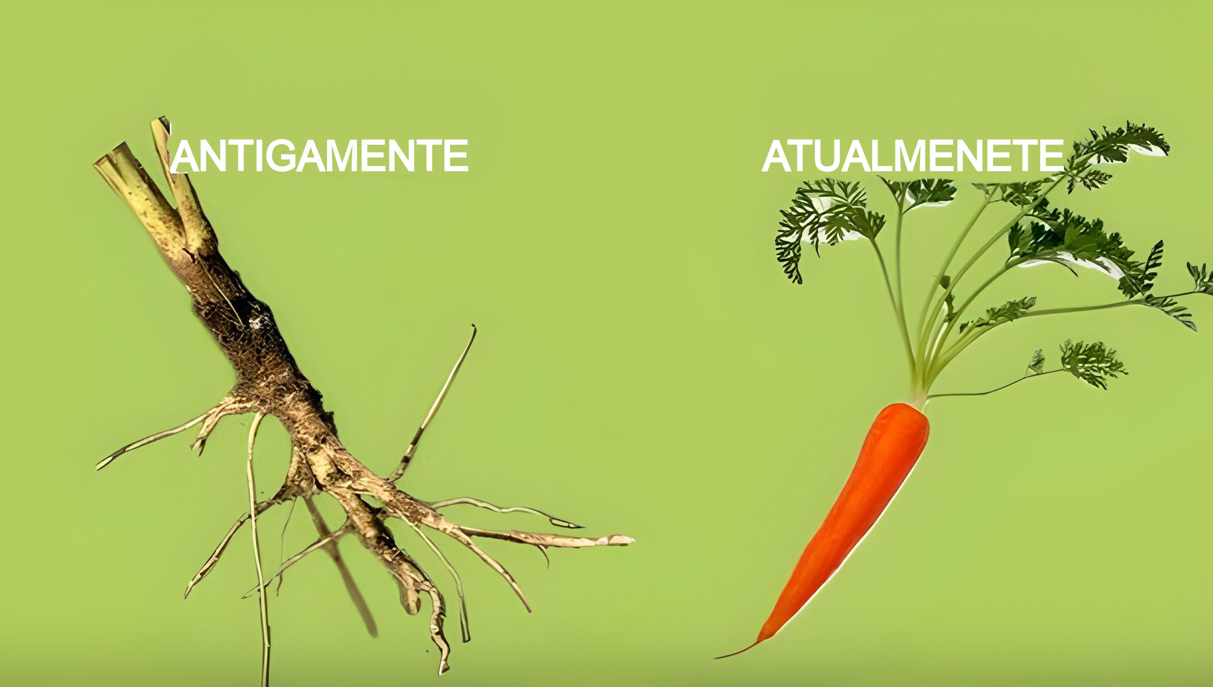 Veja como era alguns alimento antigamente - meionorte.com